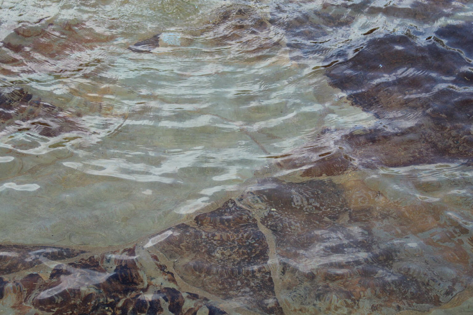 Custom Pool Design-Build Process - Mill Creek Pools & Outdoor Living